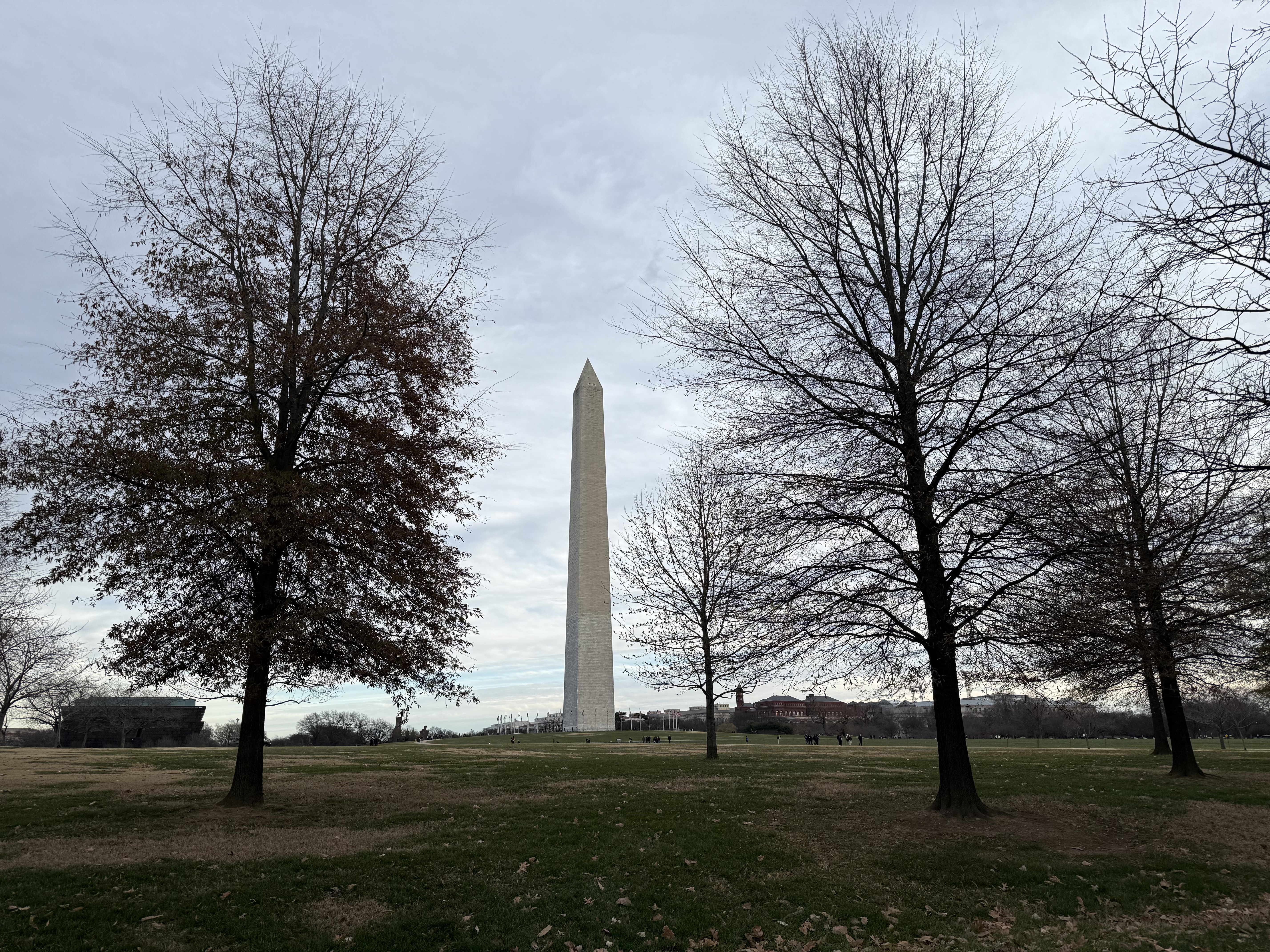 A Christmas-Tinged Trip to Washington, DC – traveling with my bwuhs